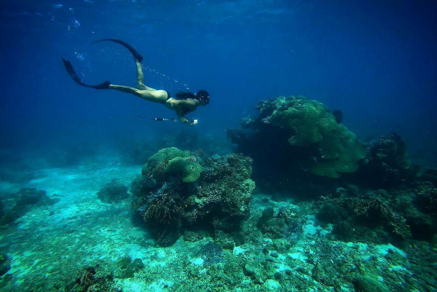 Free Diving Boracay - Master Boracay Freediving